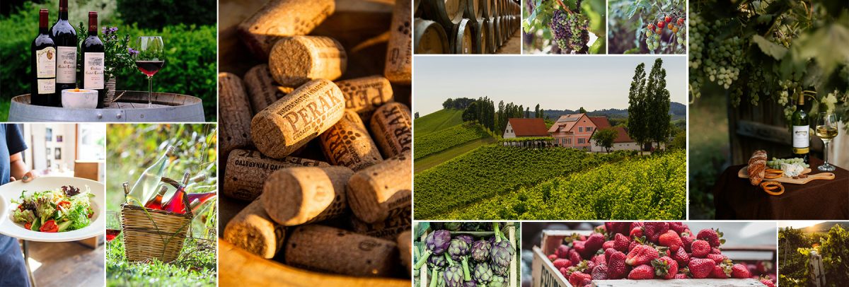 wine-country-retreat – Wandering Women Retreats